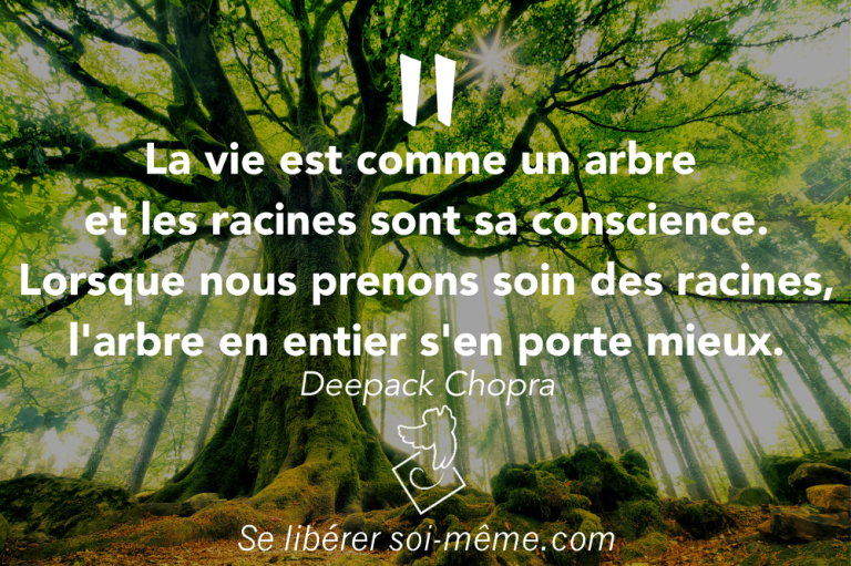 Prendre soin des racines de son être en développant la conscience de soi Prendre soin des racines de son être en développant la conscience de soi